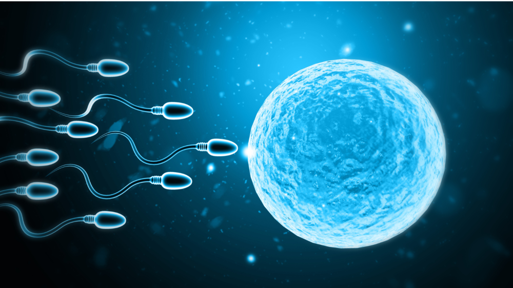 Poor Sperm Motility: Causes, Effects, and Ways to Improve