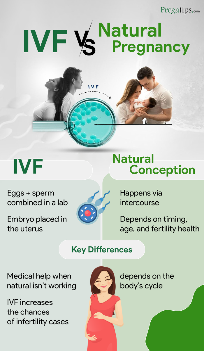 IVF Pregnancy vs Natural Pregnancy: Key Differences Explained